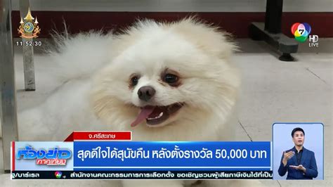 ข่าวสุดดีใจได้สุนัขคืน หลังตั้งรางวัล 50 000 บาท