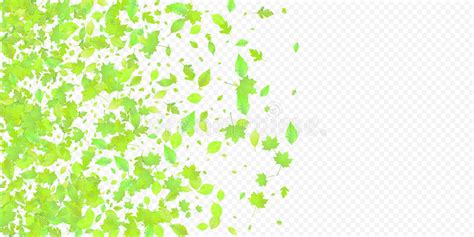 Hojas De Hojas De Foliación Voladora De Primavera Descendente Hoja