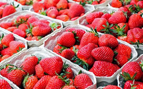 Free Picture Fruit Food Strawberry Sweet Market Detail Macro