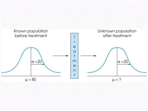 RM U MGR Hypothesis Testing Ppt
