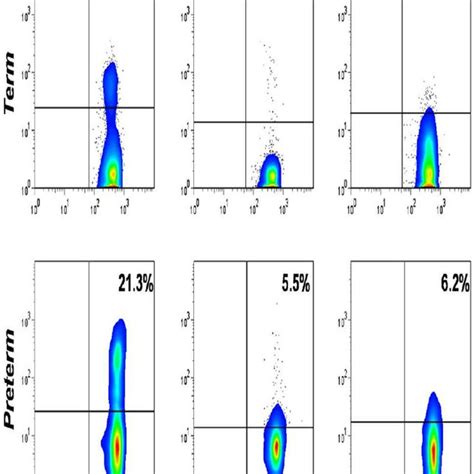 Cell Surface Activation Marker Expression On Neonatal Cd4 T Cells