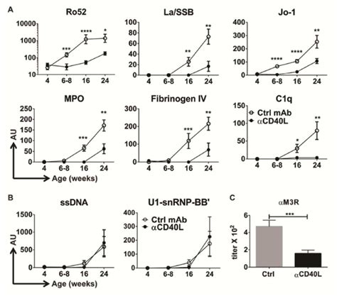 Autoimmune Manifestations In Aged Mice Arise From Early Life Immune