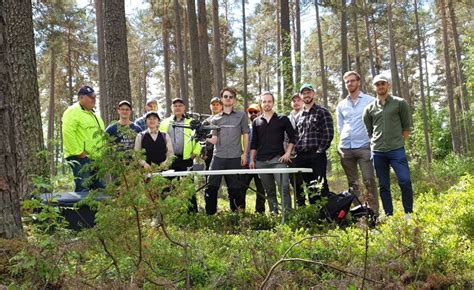 Deep Forestry On Linkedin Deep Forestry Linkedin