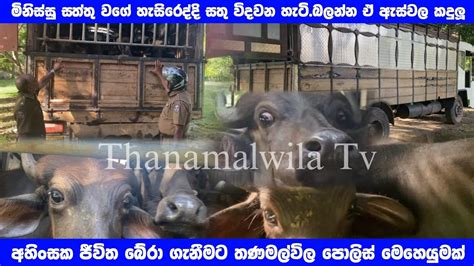 තණමල්විල පොලිස් මෙහෙයුම බලන්න ඒ ඇස්වල කදුලු Youtube