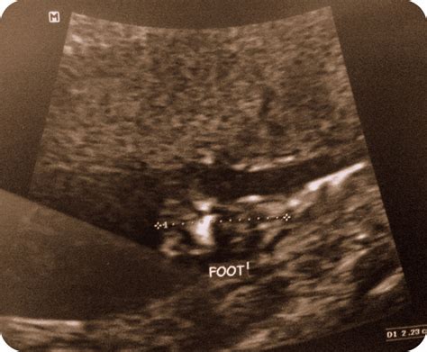 Conceiving Piper Let S Talk About Sex Baby