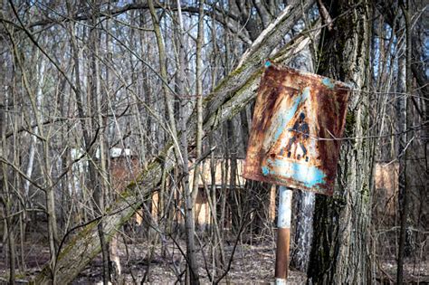 プリピャチ市の放射性地帯の木々の間の古い錆びた横断歩道の看板チェルノブイリ排除区域 ウクライナ 冬のストックフォトや画像を多数ご用意