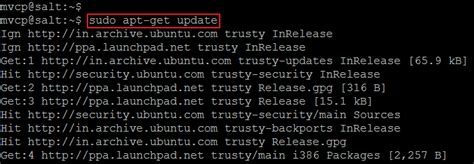 How To Install And Configure Salt Master On Ubuntu Vcp Blog