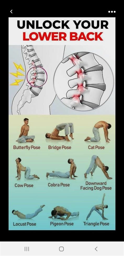 Pin On йога Back Exercises Lower Back Exercises Low Back Exercises