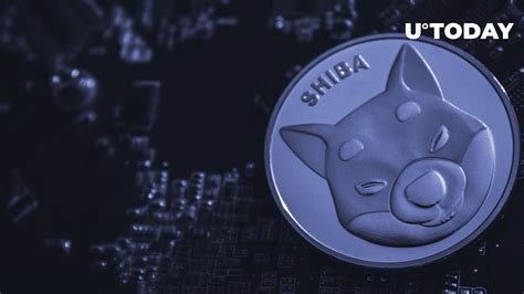 Whales Shib Holdings Fall Under Million Yet Shib Army Hits New