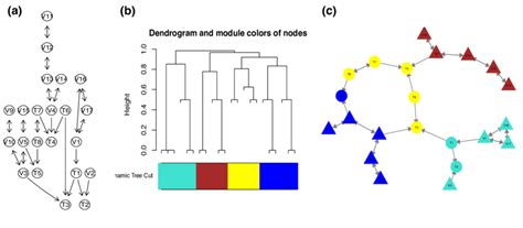 Using The MRPC Package To Visualize Complex Graphs A A Complex Graph Download Scientific