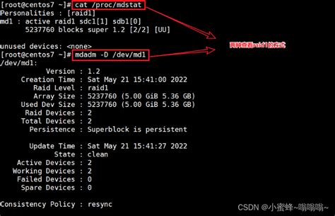 linux磁盘阵列