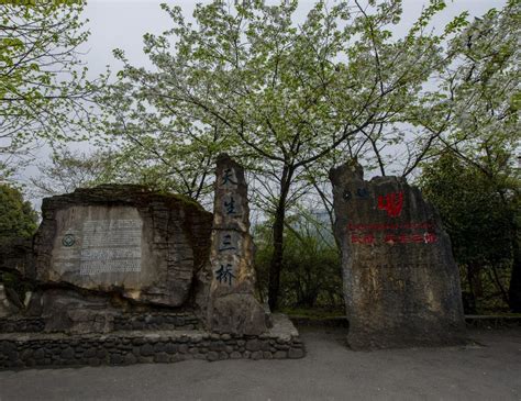 天生三桥 中关村在线摄影论坛