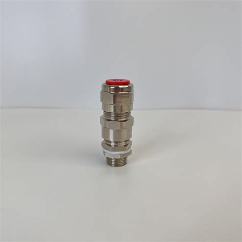 Bdm Iii M G Npt Goepe