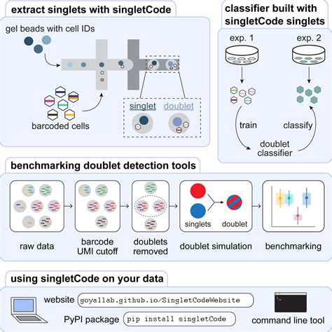 Researchers Improve Measurement Of Gene Expression In Single Cells Rna Seq Blog