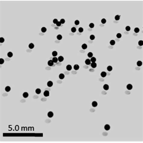 Picture Of Spherical Cu Chitosan Beads Prepared From Cu Oac 2 With A Download Scientific