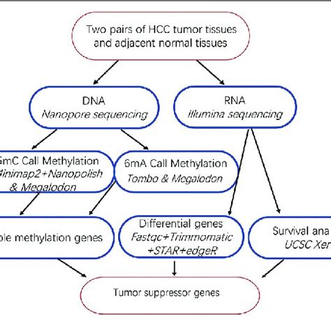 Bioinformatics Analysis Pipeline Of Our Study Download Scientific Diagram
