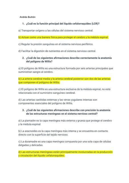 Preguntas morfo teoría do parcial brandon chamorro uDocz