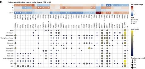 Hypothesis Testing For Comparisons Between Conditions · Issue 11