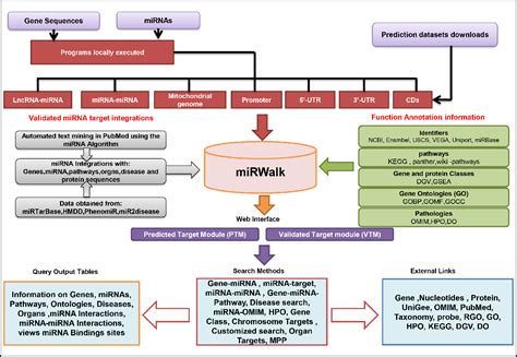 Figure 1 From A Novel Cluster Analysis For Gene Mirna Interactions