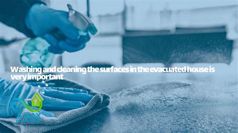 Exit Cleaning In Adelaide A Max Clean Group