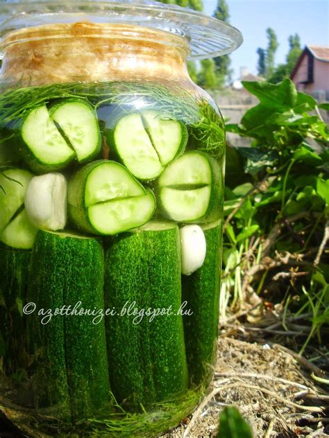 Hungarian Sun Pickles Artofit
