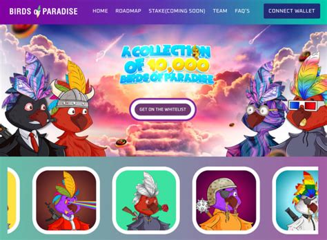 Build Web3 Dapp And Smart Contracts On Any Blockchain By