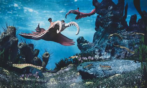 What Is The Cambrian Explosion And Why Does It Matter A Z Animals