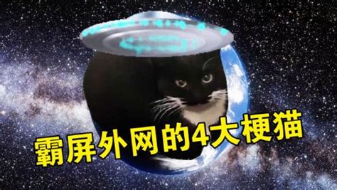 霸屏外网的4大梗猫臭猫被做成了游戏模组happy猫仅几天破亿播放 高清1080P在线观看平台 腾讯视频