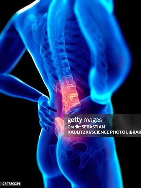 9 021 Human Skeleton Black Background High Res Illustrations Getty Images