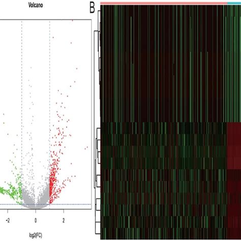 screening and hierarchical clustering analysis of differentially