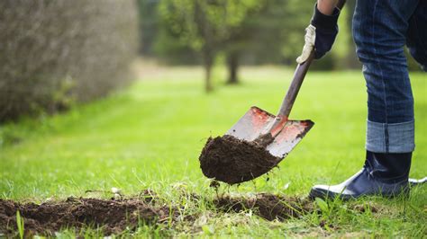 Pictures Of A Hole For A Man Digging Grave