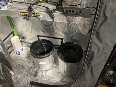 Dwc Water Temperature Regulation R Cannabiscultivation