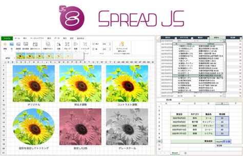 グレープシティ、新ピクチャ機能を搭載したjavascriptライブラリ「spreadjs」の新版「v152j」を10月26日にリリース