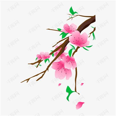 矢量免扣卡通玉兰花素材图片免费下载 千库网