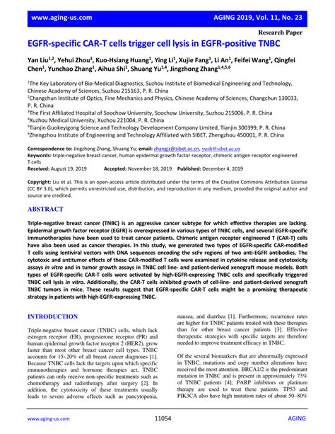 Pdf Egfr Specific Car T Cells Trigger Cell Lysis In Egfr Positive Tnbc