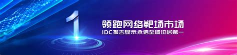 永信至诚 带给世界安全感