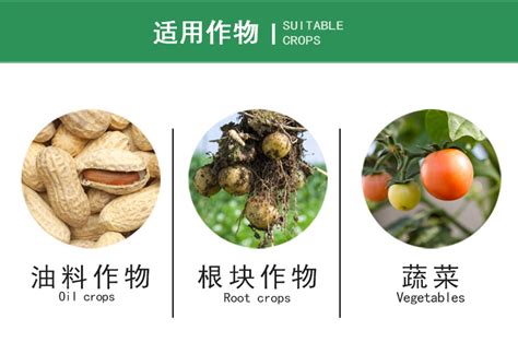 速乐硼 美国硼砂集团 纯硼微量元素 果树蔬菜保花保果叶面肥15g 阿里巴巴