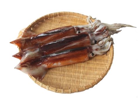イカの種類と旬を一覧で！特徴の違いや見分け方も画像をもとに紹介！ ちそう