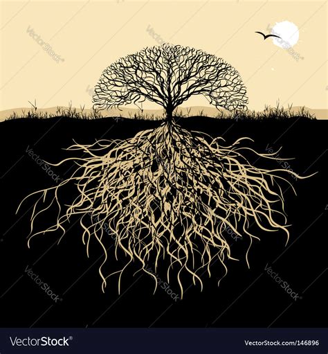 Tree Silhouette With Roots Royalty Free Vector Image