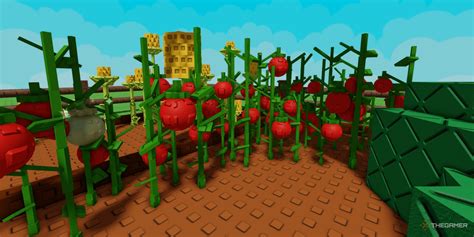 How To Get Coconuts In Roblox Grow A Garden