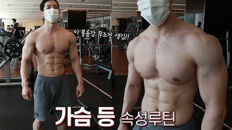 운동루틴 추천 2분할 상체루틴 가슴등 운동 효과적으로 하는법 초보자를 위한 자세한 Asmr 설명 Youtube