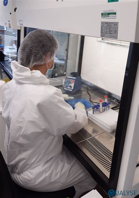 Covid 19 les laboratoires vétérinaires réalisent les tests de dépistage