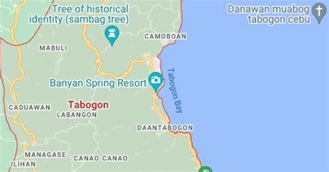 Discogoer Dies After Being Mauled In Tabogon Town