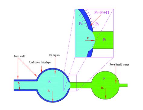 6 Schematic Illustration Of Disjoining Pressure Of Water Film Within