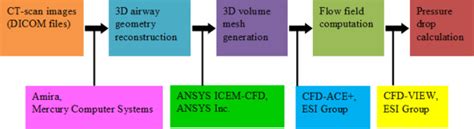 procedures of numerical simulation download scientific diagram