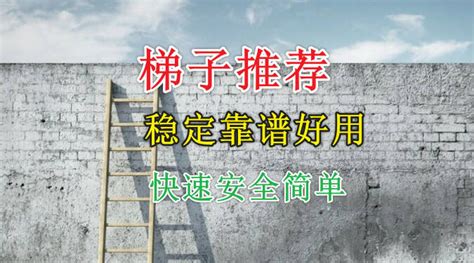 八款翻墙机场节点梯子推荐︱稳定高速完胜各种免费vpn加速器 中文版 D2l Discussion