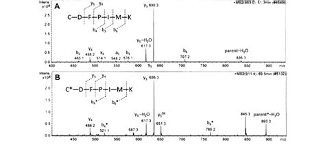Collision Induced Dissociation Of C 60 K 66 And C 60 K 66 CM Peptides Download Scientific