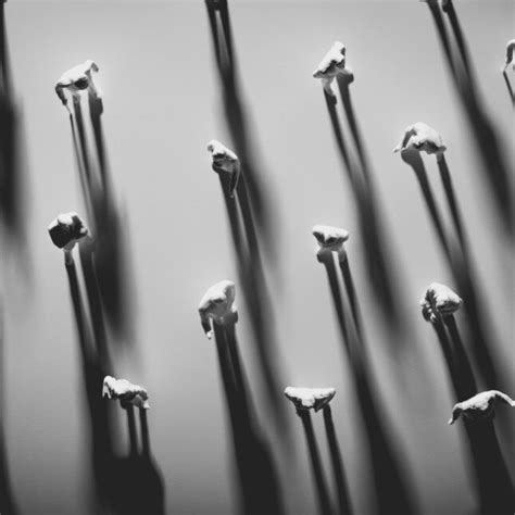 Fda Cancels Vaccine Advisory Committee Meeting Stat