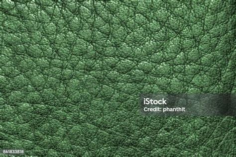 산업 수출을 위한 가죽 질감 배경입니다 패션 사업입니다 가구 디자인 및 실내 장식 아이디어 컨셉 디자인입니다 가구에 대한 스톡 사진 및 기타 이미지 Istock