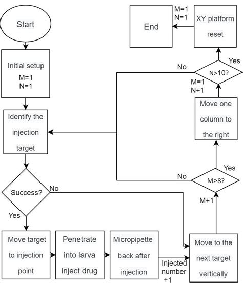 The Flowchart Of Automatic Microinjection System For Zebrafish Larvae